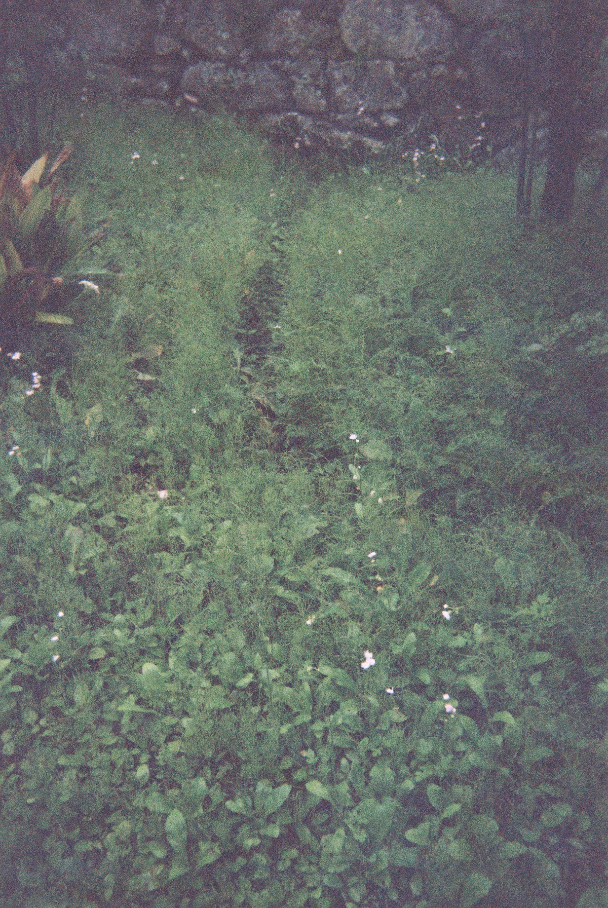 ATMOSPHERE – greenspace